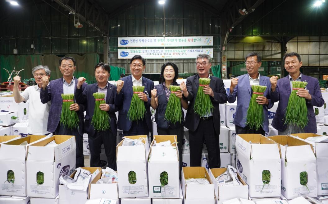 동화청과